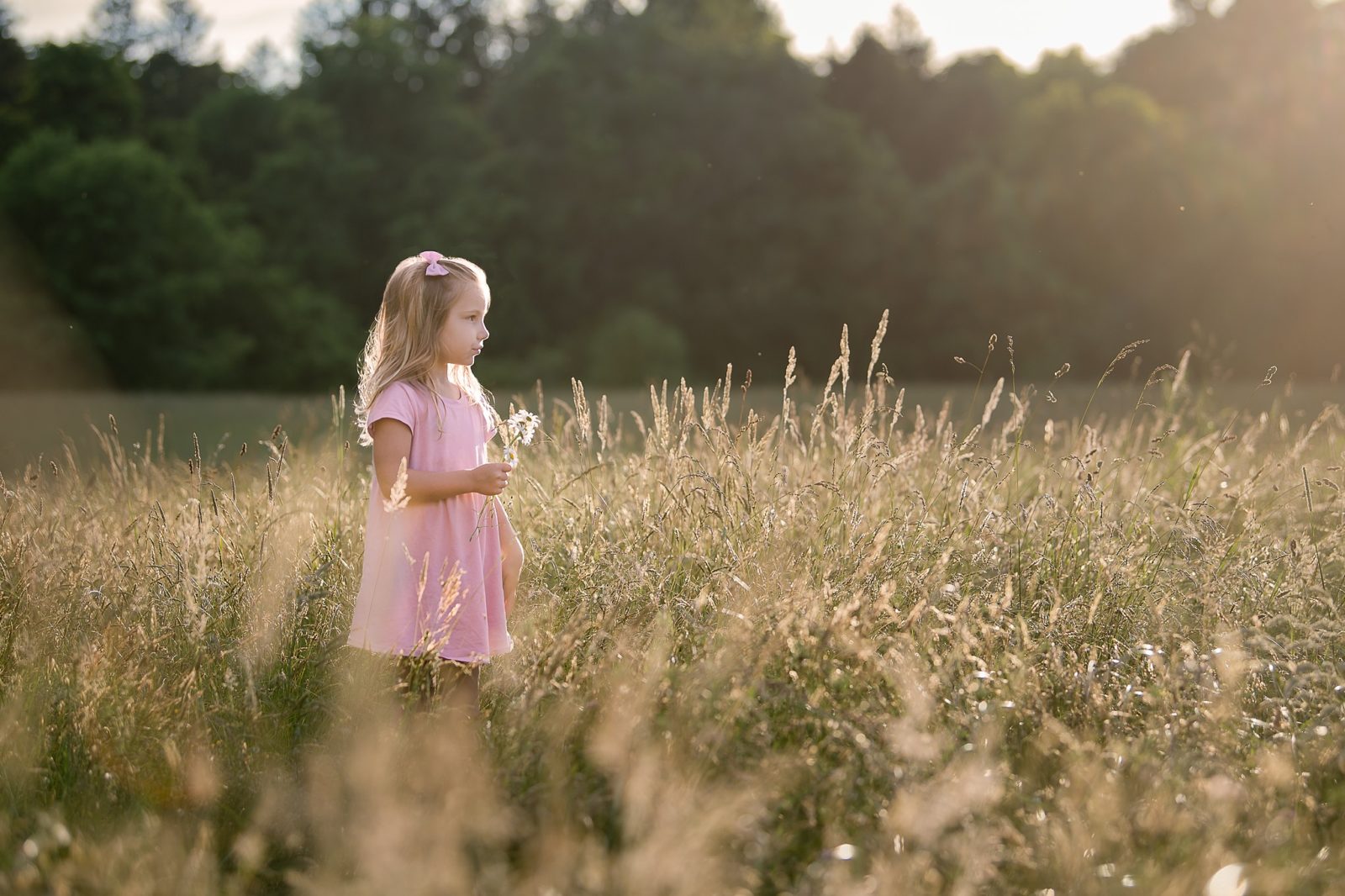 3 Tips for Backlit Images - Lori Pickens Photography Blog