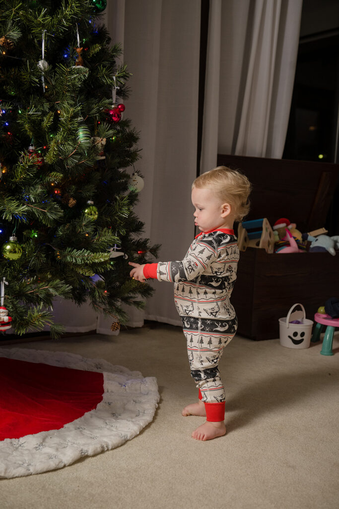 How to Plan for Your Christmas Photography Session - Lori Pickens ...