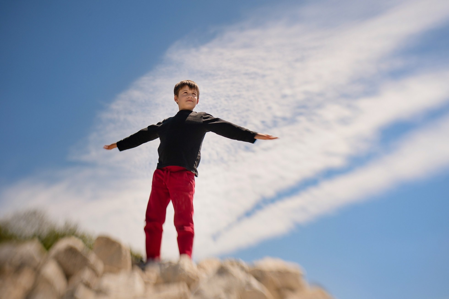 The Power of Lines: A Photography Tutorial - Lori Pickens Photography Blog