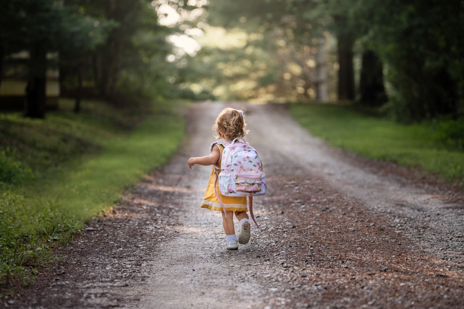 The Power of Lines: A Photography Tutorial - Lori Pickens Photography Blog